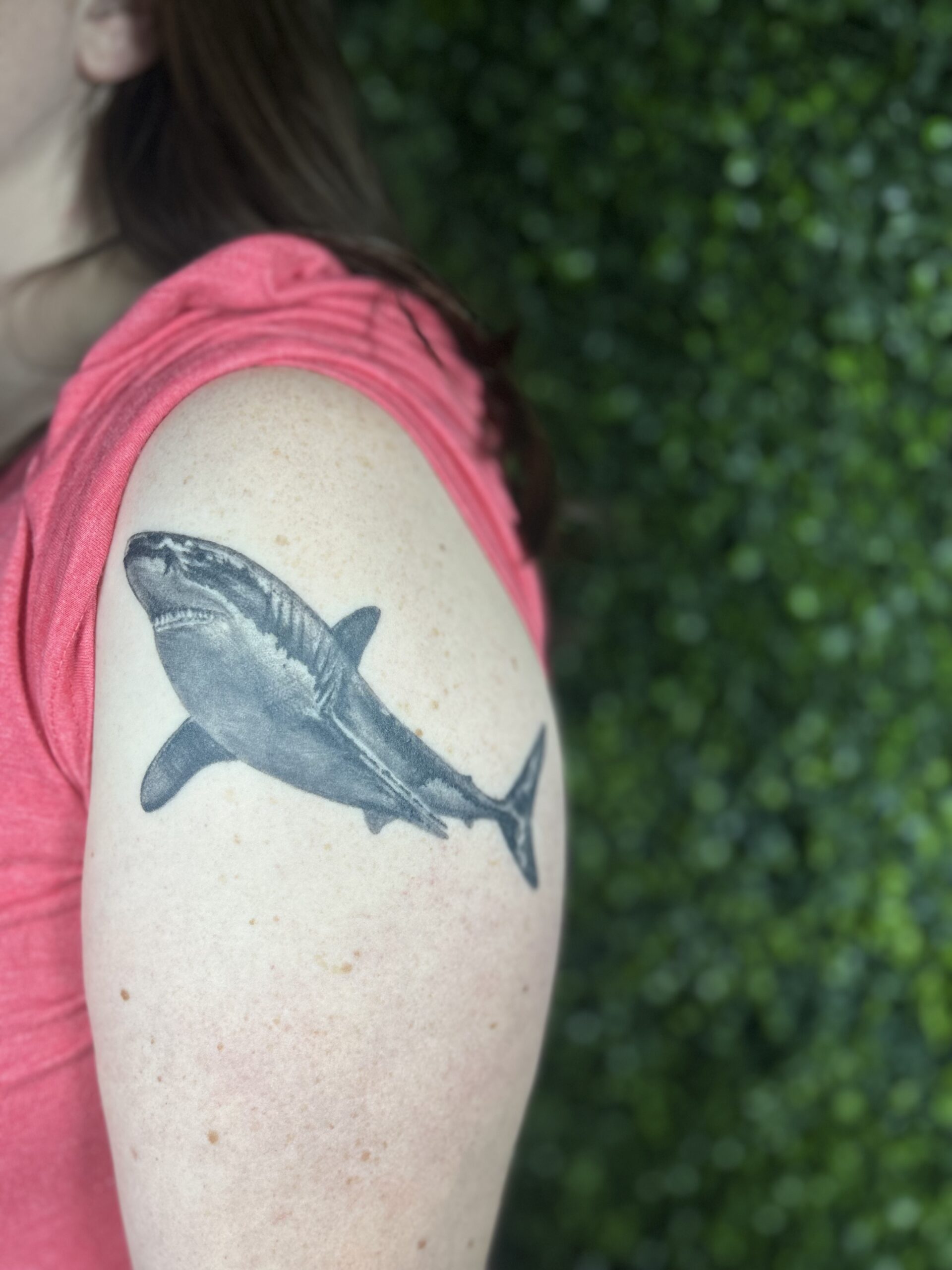 Gallery - Tattoo Cornucopia