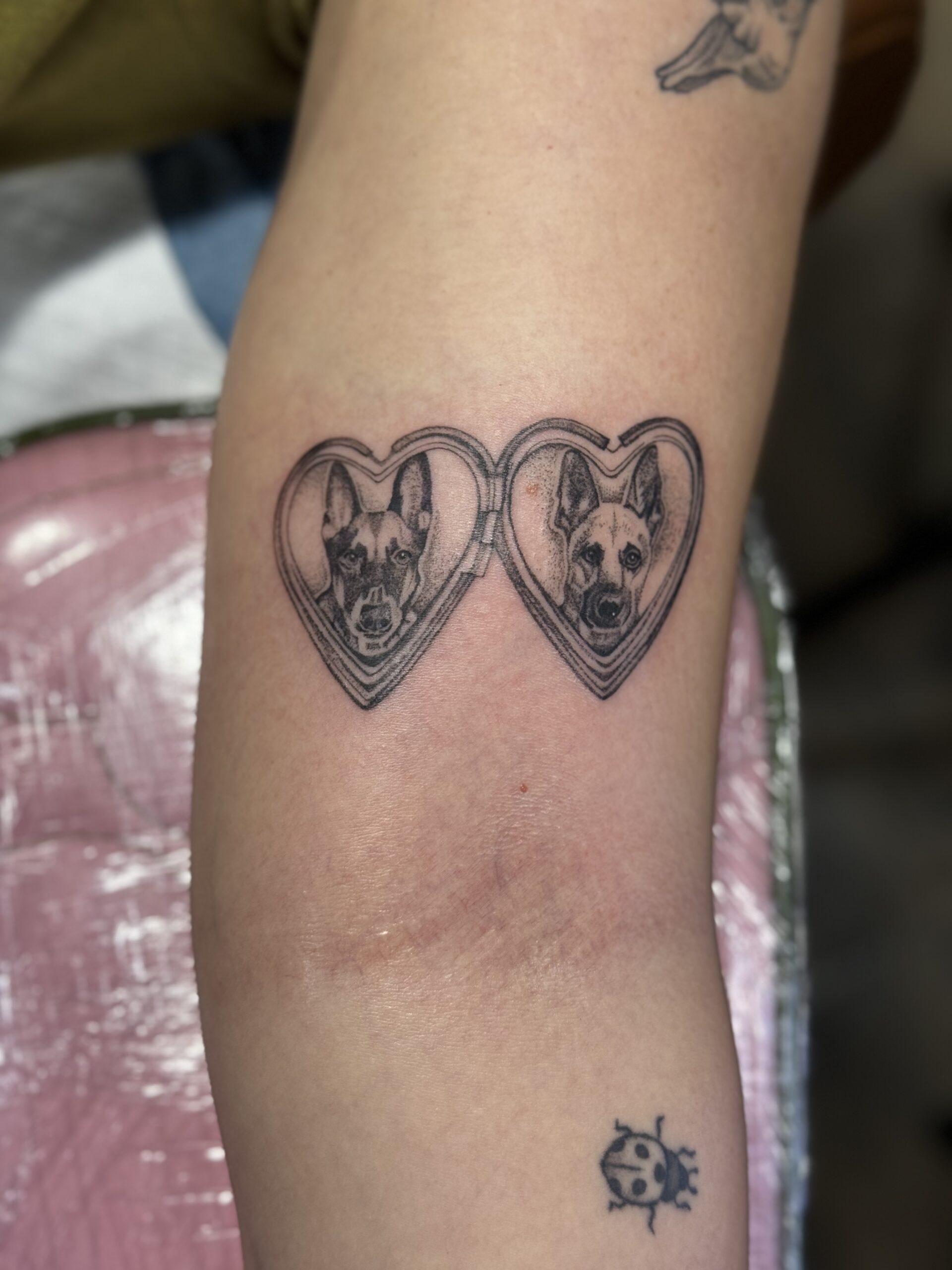 Gallery - Tattoo Cornucopia